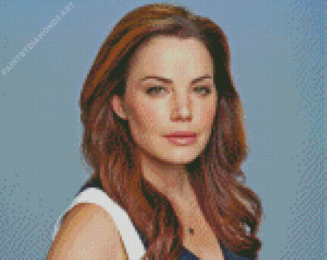 Erica Durance Diamond Painting - PaintByDiamonds.ART